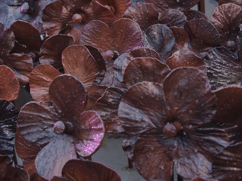 Alfred-Habermann-Gedächtnis-Preis 2018